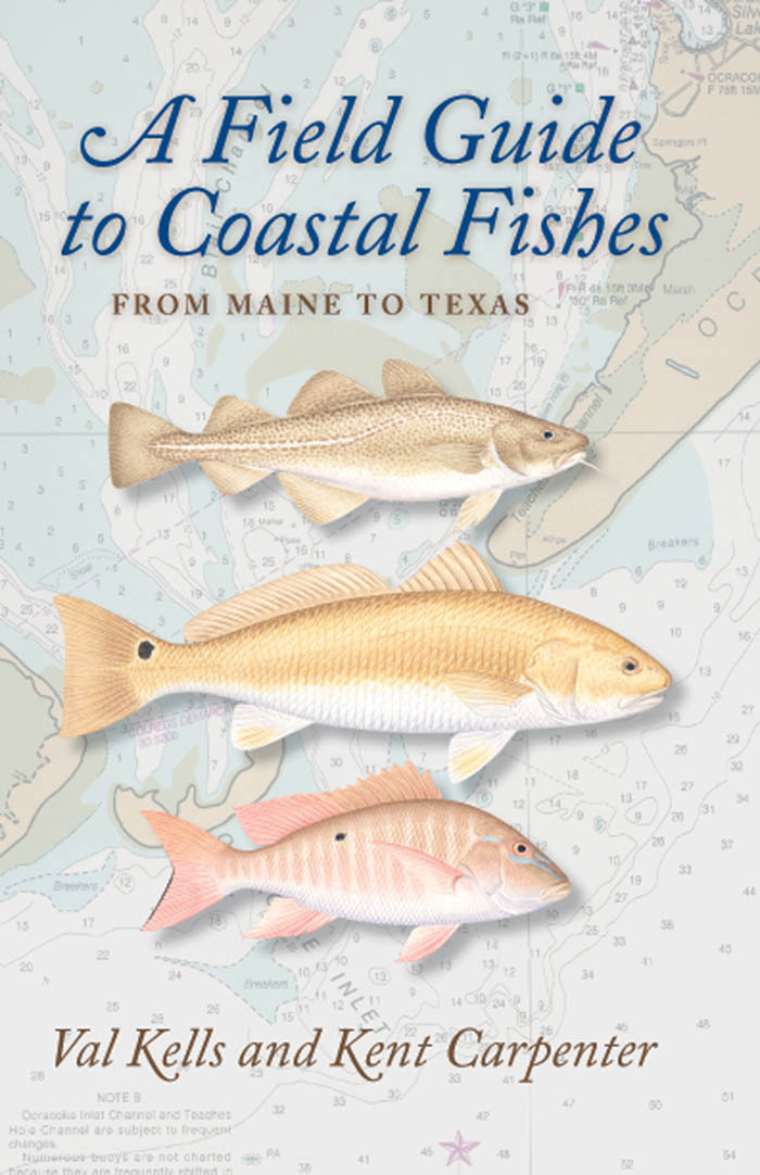 A Field Guide to Coastal Fishes | Hopkins Press