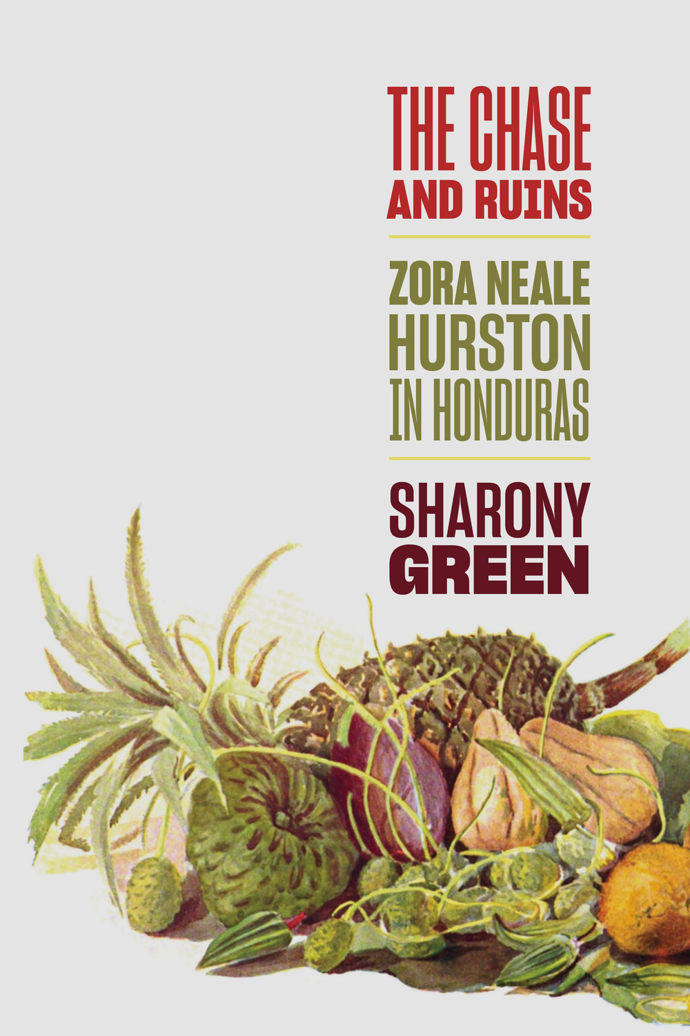 The Chase and Ruins | Hopkins Press