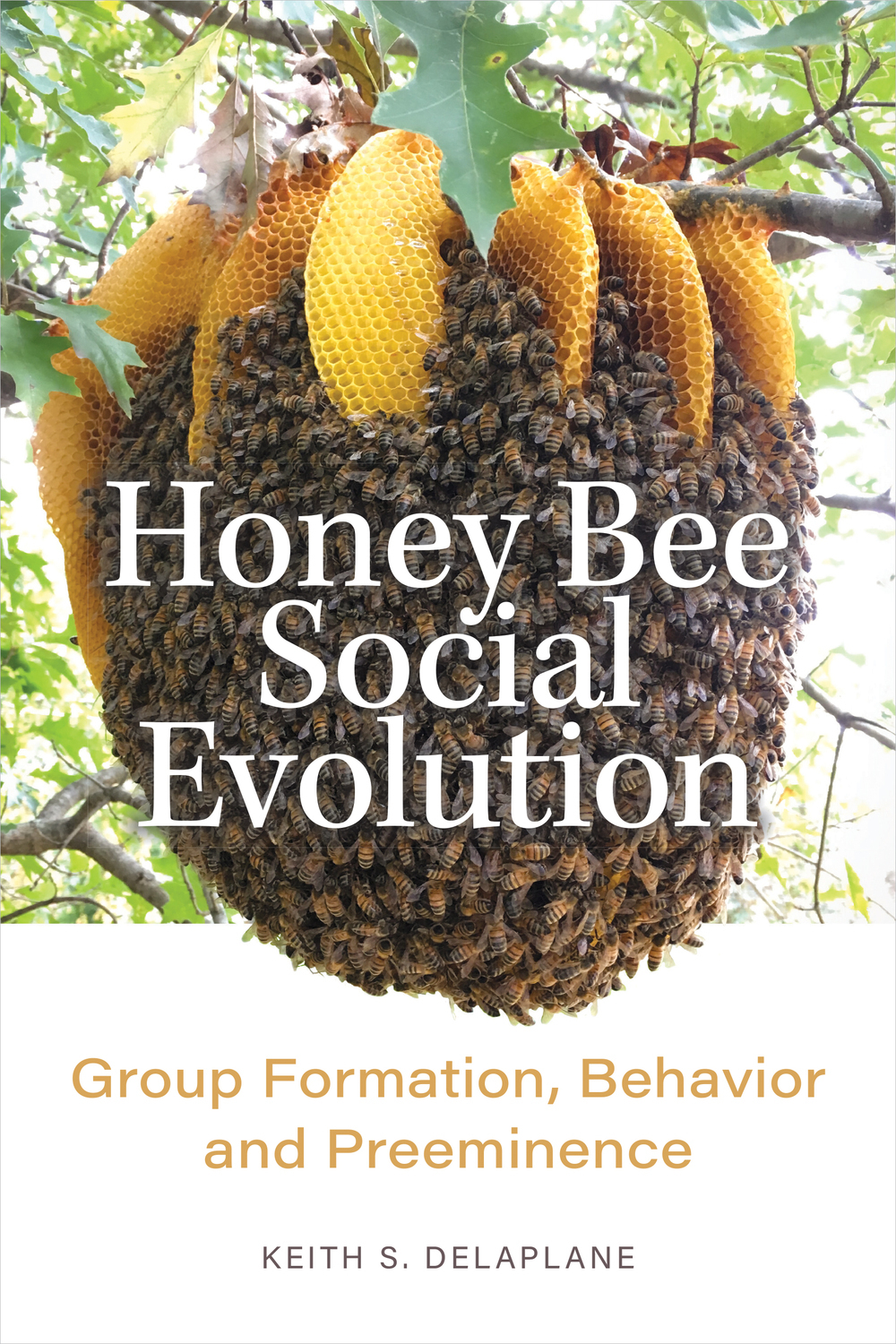 Honey Bee Social Evolution | Hopkins Press