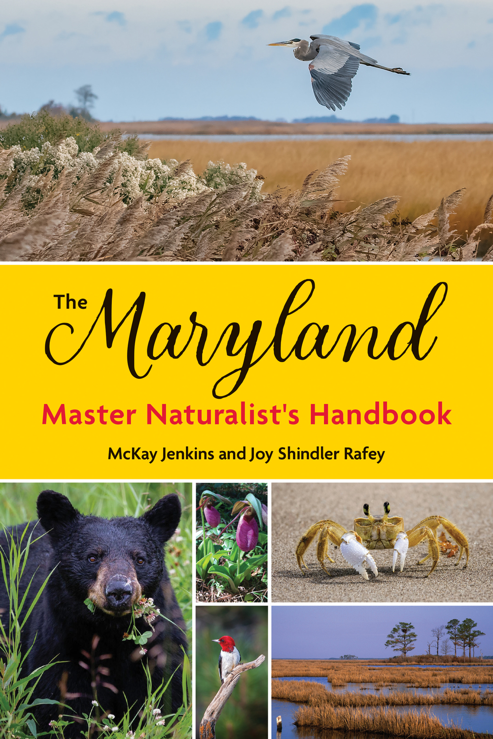 The Maryland Master Naturalist's Handbook | Hopkins Press