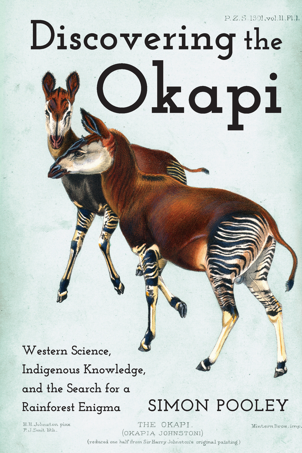 Discovering the Okapi | Hopkins Press