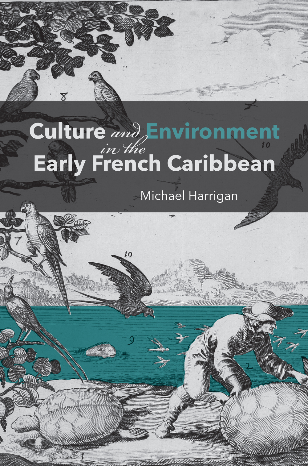 Culture and Environment in the Early French Caribbean | Hopkins Press