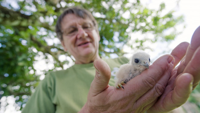 A conversation with Rob Shumaker and Carl Jones | Hopkins Press