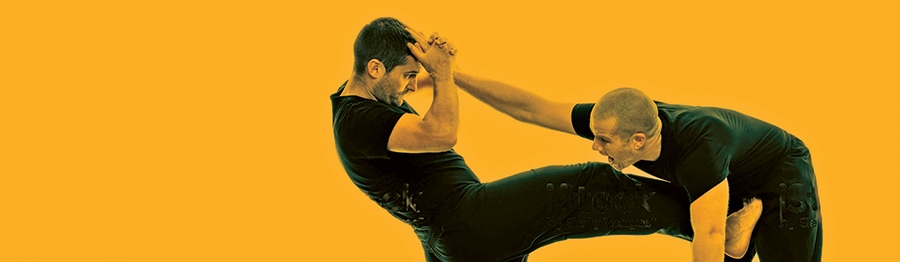 Intuitive Physics is Inside Everyone | Hopkins Press