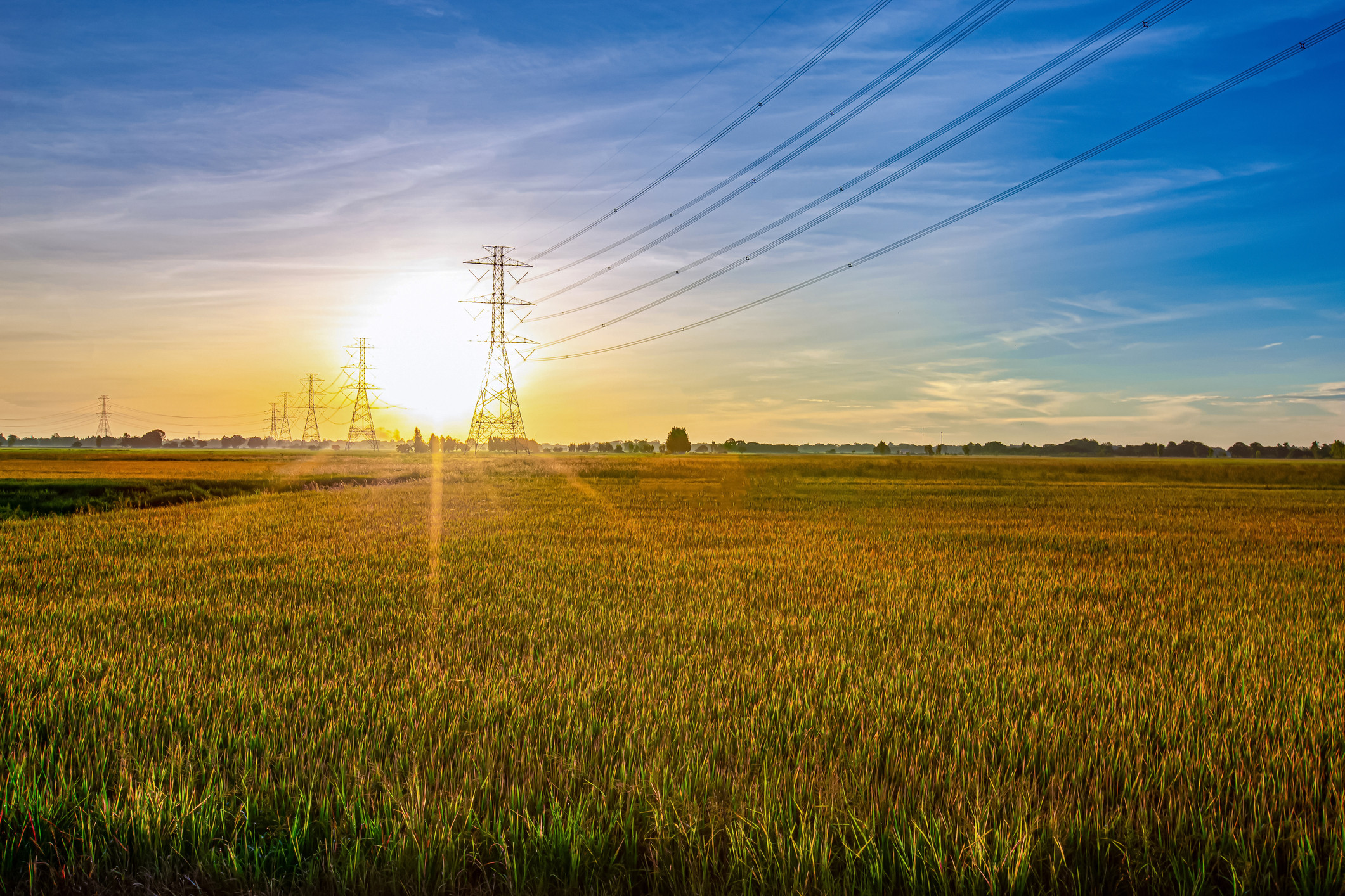 Revising the Traditional Interpretation of Rural Electrification ...