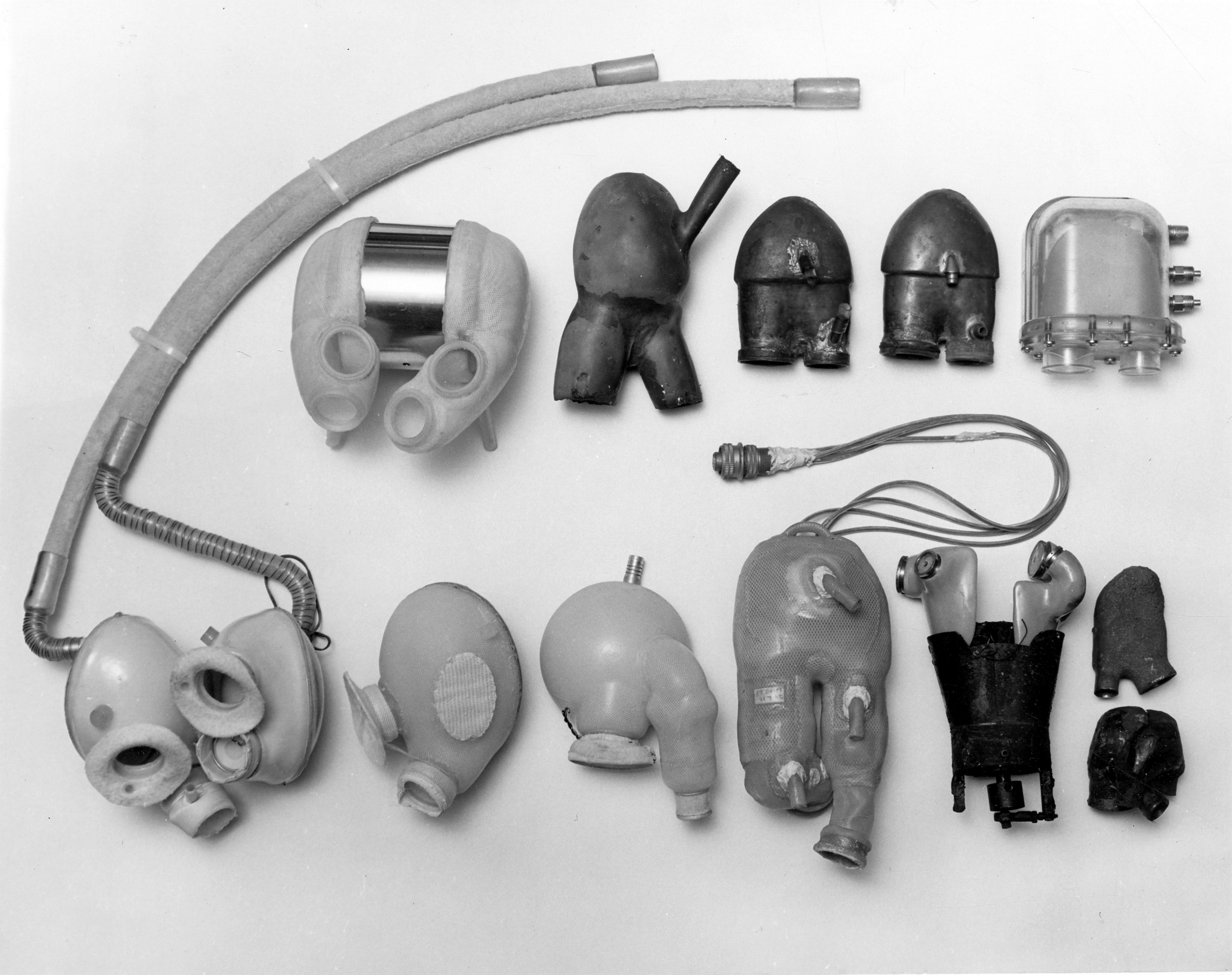 Dissecting Artificial Hearts with Shelley McKellar | Hopkins Press
