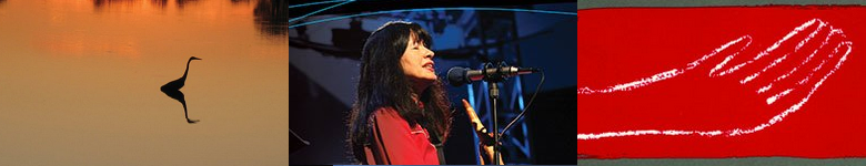 Joy Harjo Named U.S.'s First Native American Poet Laureate | Hopkins Press