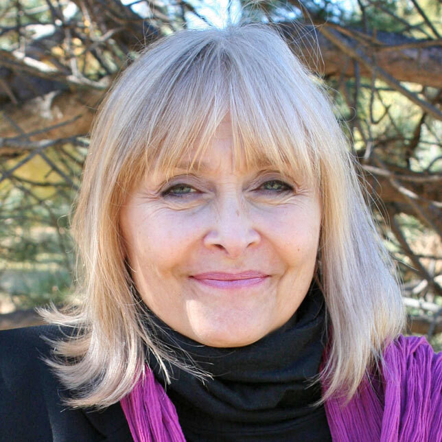 Susan Schmidt Horning, Ph.D. | Hopkins Press